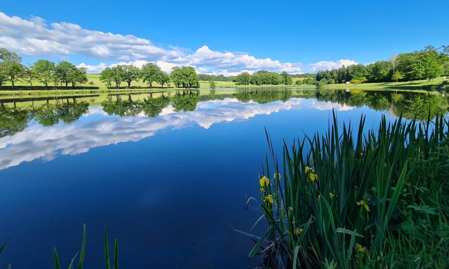 Neuvic-Entier – Site officiel de la commune de Neuvic-Entier